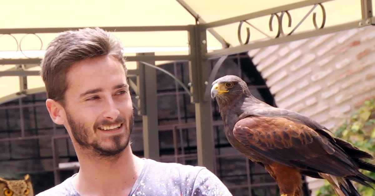 Manuel Alejandro Cuenca Capote - Andalucía, España | about.me