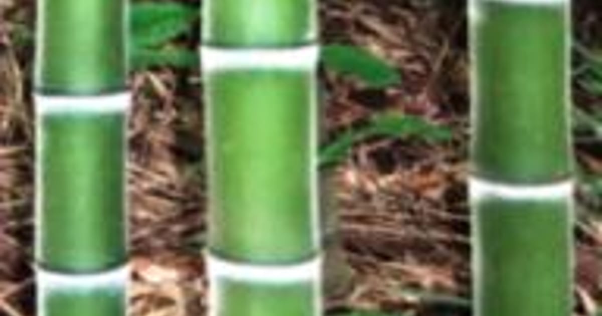 Kitil Farm - Isinya, Kenya | about.me