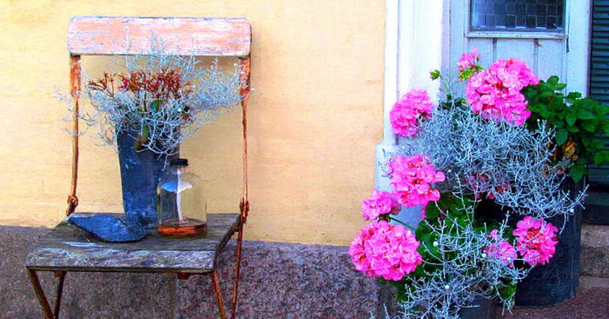 Lisa Fox Dombrowski - United States | about.me