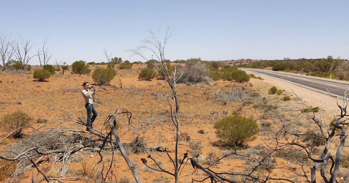 Sandra Upson - the United States | about.me