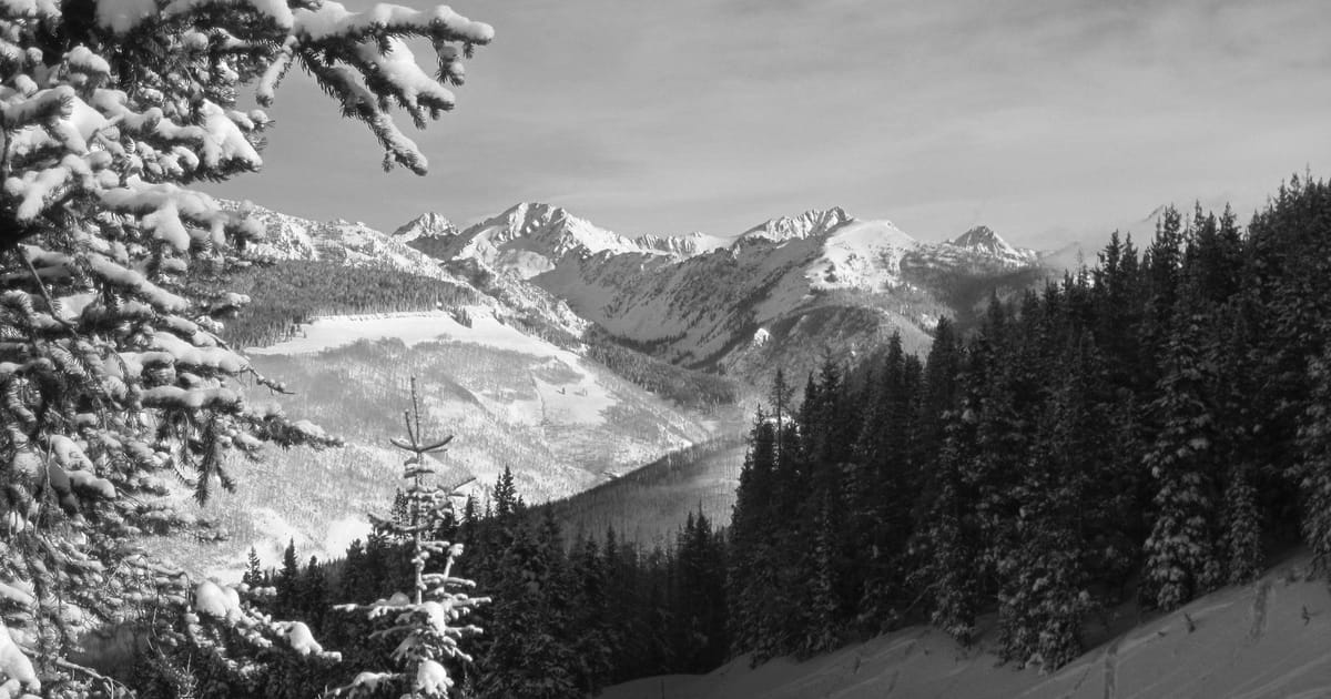 Amy R. Regnier - Denver, Colorado, Carbondale, CO | about.me