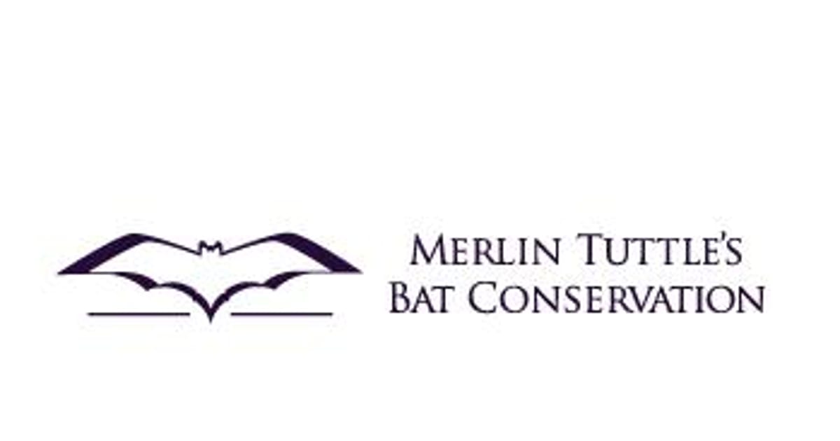 Merlin Tuttle's Bat Conservation - the United States | about.me