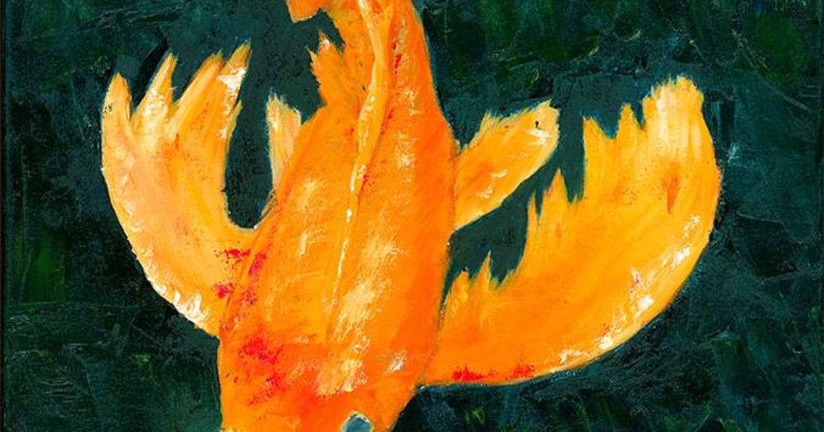 Jill Rumley - Longmont, Colorado, Jill's Impressions, Argosy University ...