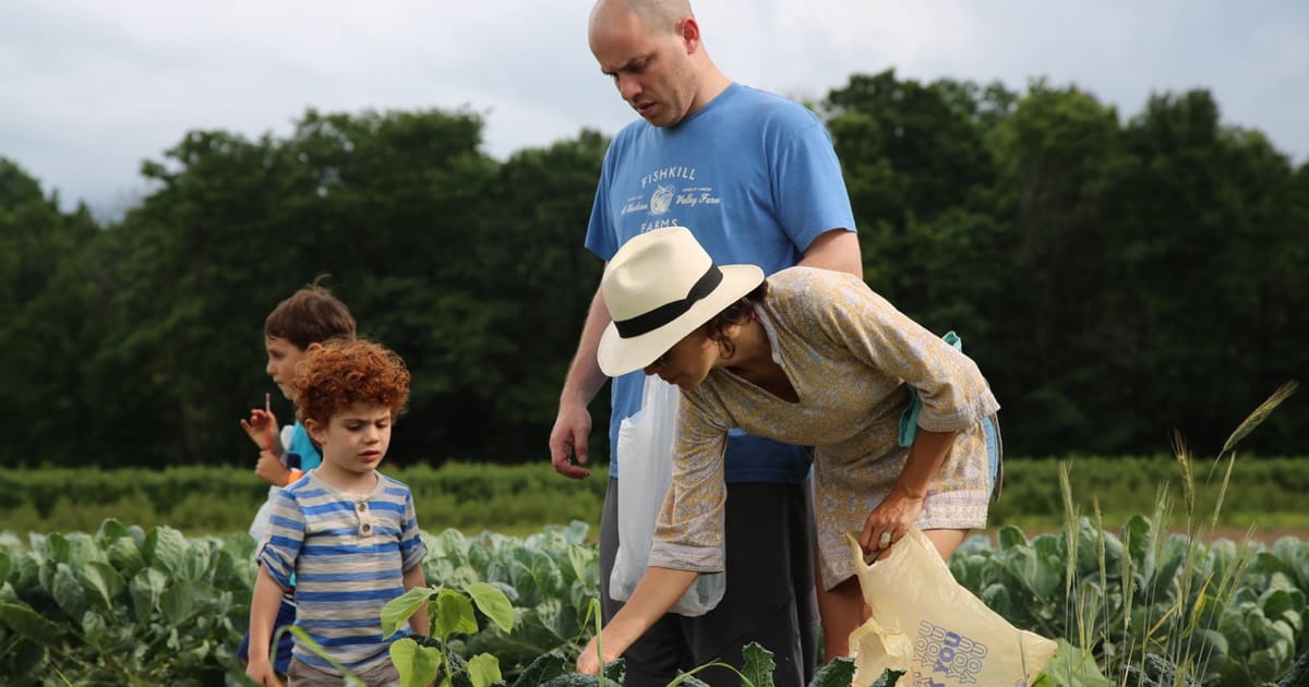 Michael Skolnik - New York, The Soze Agency , University of California ...