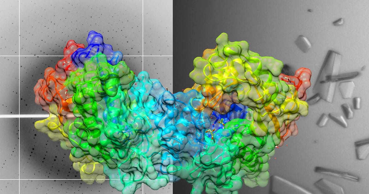 Simon "Scientist" Broadley - Cape Town, South Africa, House-sitting ...