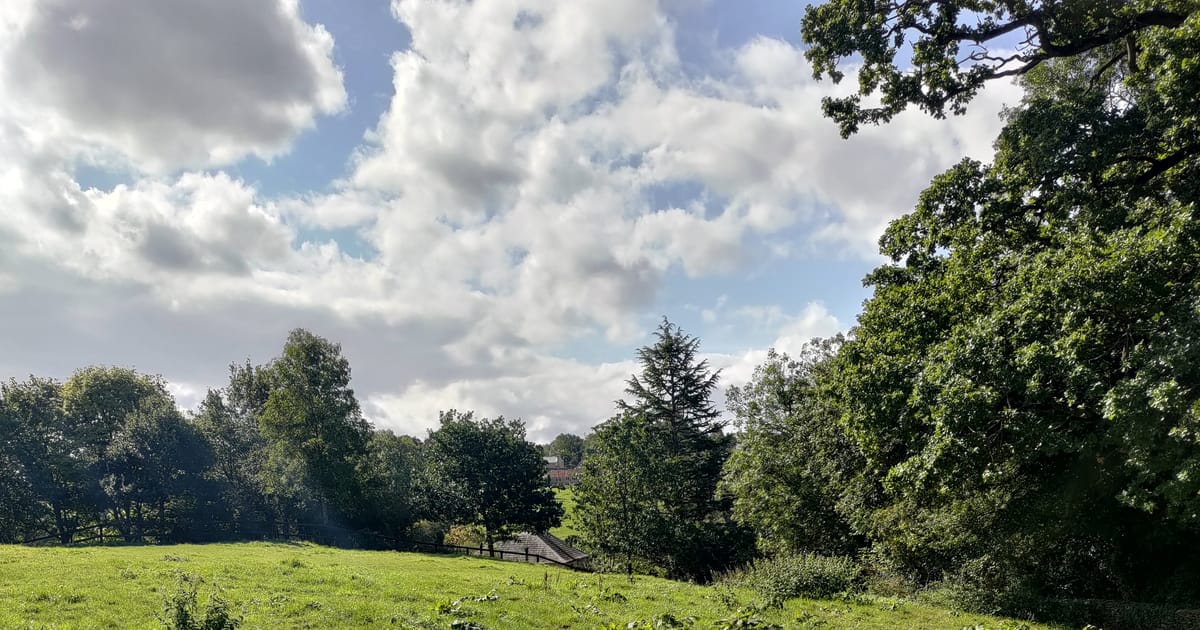 Sam Captures | about.me