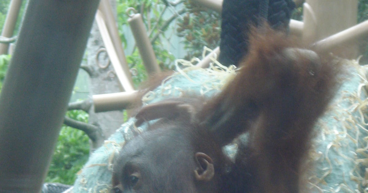 Unitec Tambayan - ROOM TBA | about.me