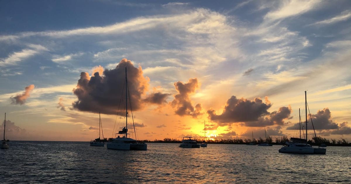 Noreen McCaffrey - New York, Somo, University of Oxford | about.me