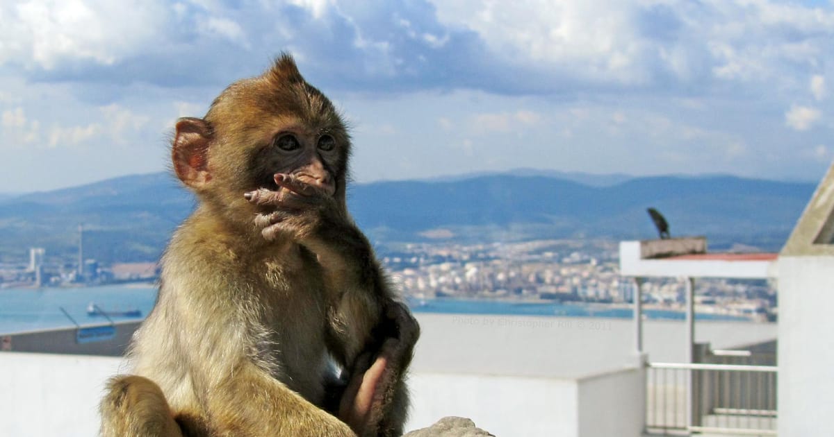 Chris Rill - Naples, Florida, Edifice, Union College, NY | about.me