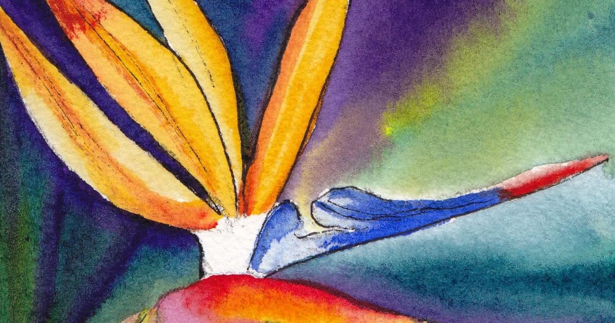 Robin Altman - Fair Lawn, New Jersey, The Altman Group, Ithaca College ...