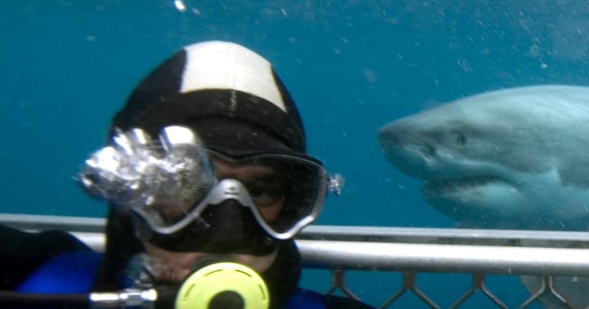 Brandon Bethea - St. Petersburg, FL, Marketing Consultant & Writer, M.B ...