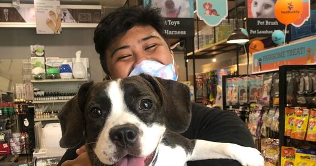 Nate Lacson - Manila | about.me