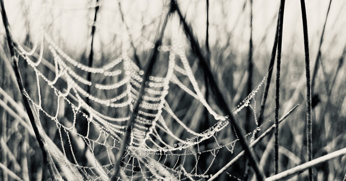 Jim Howard - Plymouth, UK, speckled-digital.com | about.me