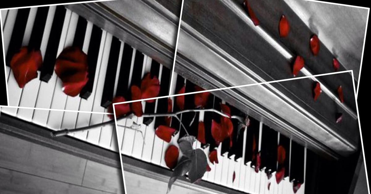 Lisa Malabanan - the United States | about.me