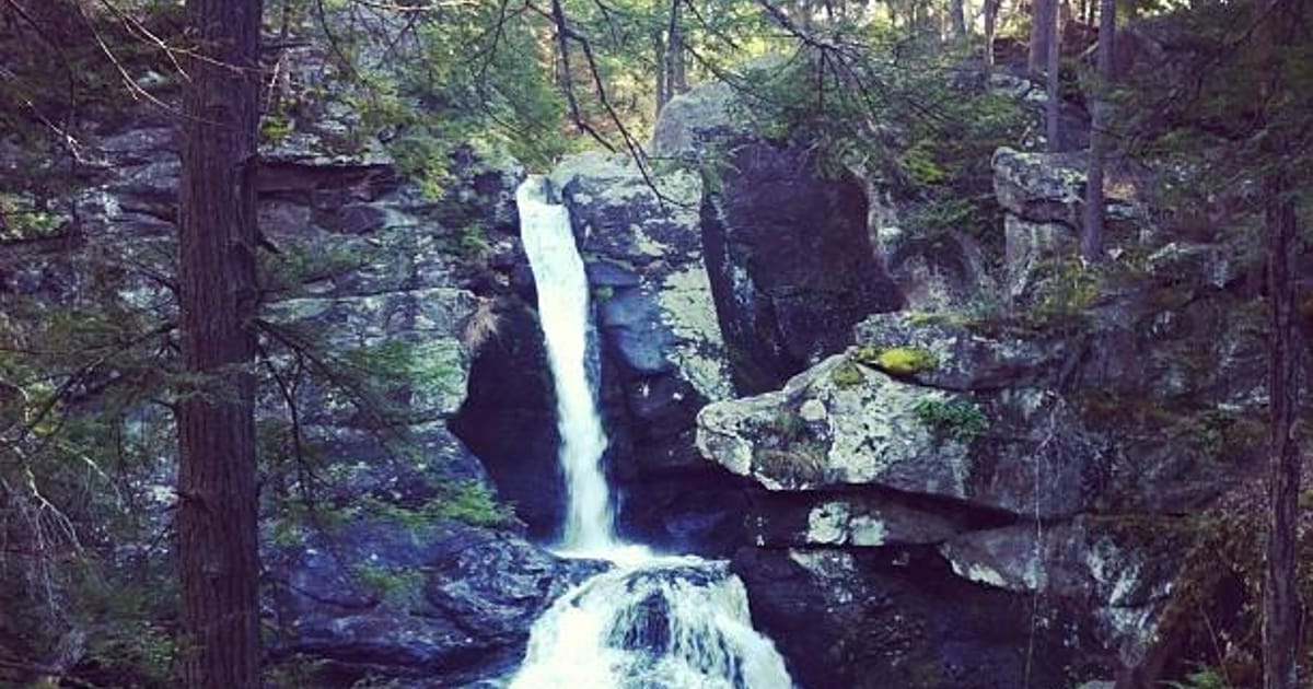 Sean Powers - Collegeville, Pennsylvania | about.me