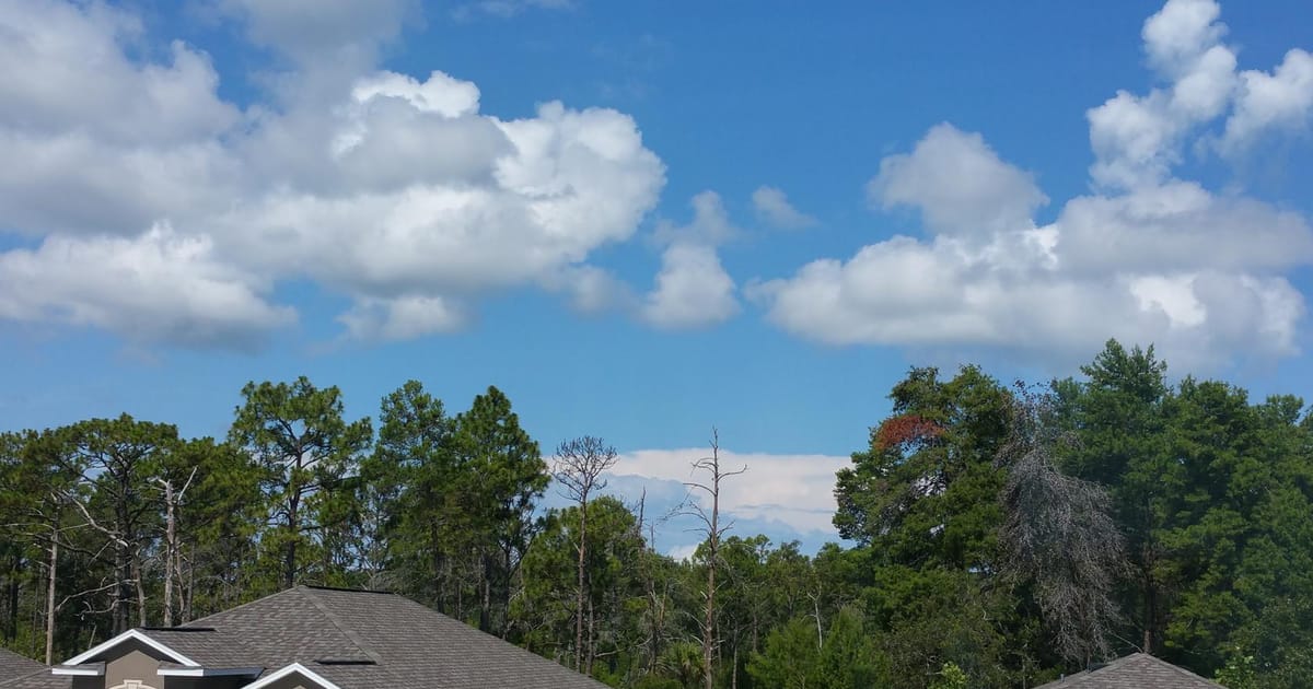 Catherine Wildfeuer-Shiver - Hudson, Florida, NewHomePrograms.com, 2 ...