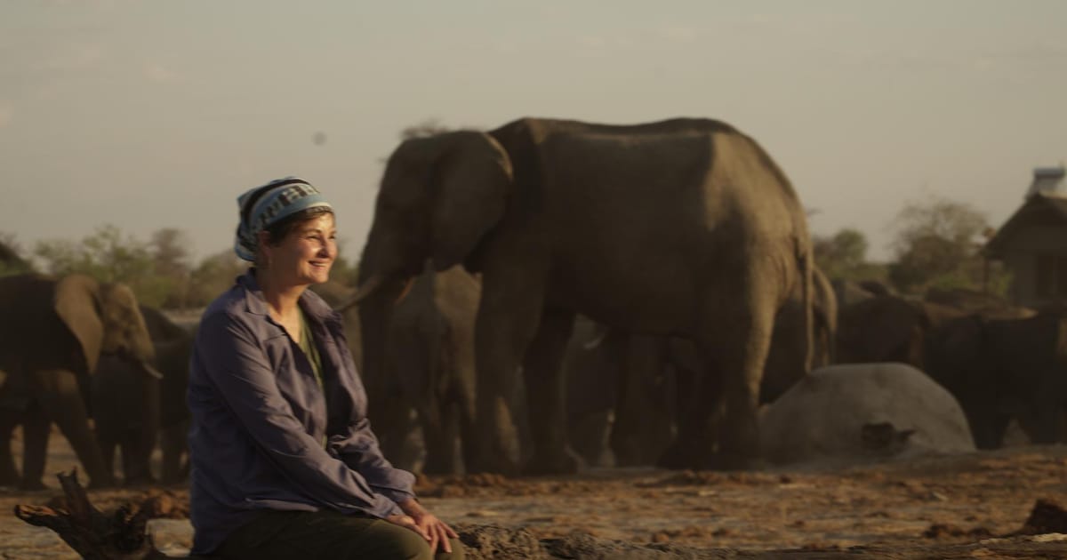 Louise Hogarth - Seattle, Washington | about.me