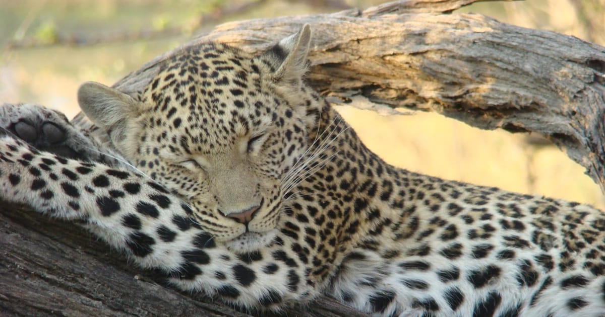 Jane Broughton - Cape Town, South Africa, Jane Broughton Freelance ...