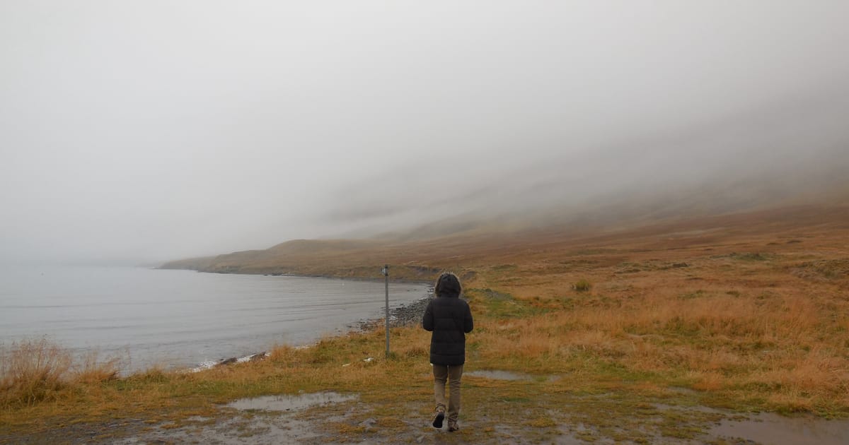 Florian VIDAL - France, PhD in Political Science, MA History, MA ...