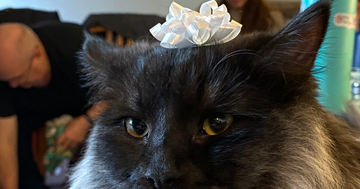 shems ☀️ - Portland, OR | about.me