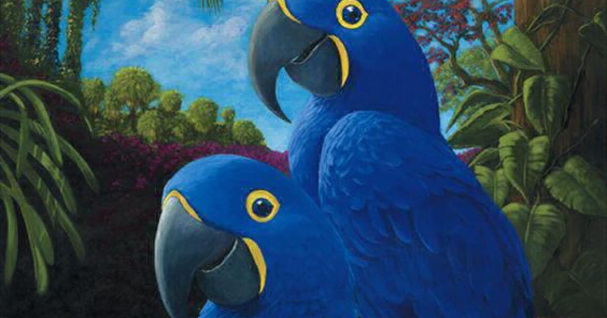 Dougie Ryder3 - USA | about.me