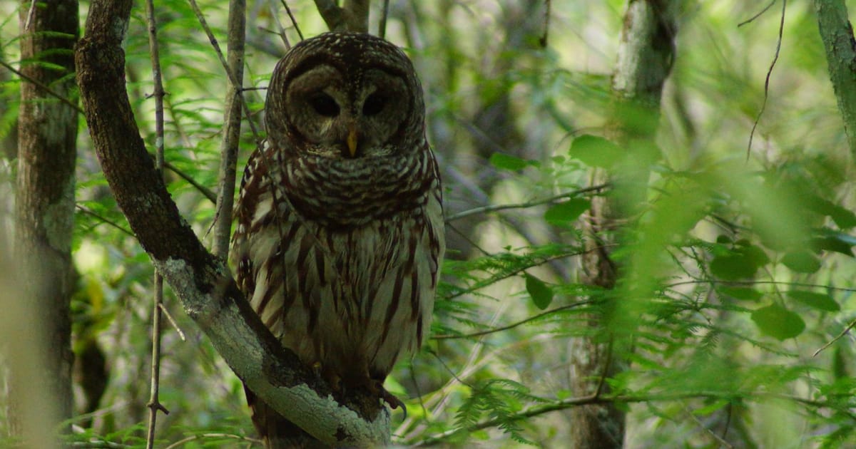 James Marcinkowski - Fort Myers, Florida, Inlanta Mortgage, B.S ...