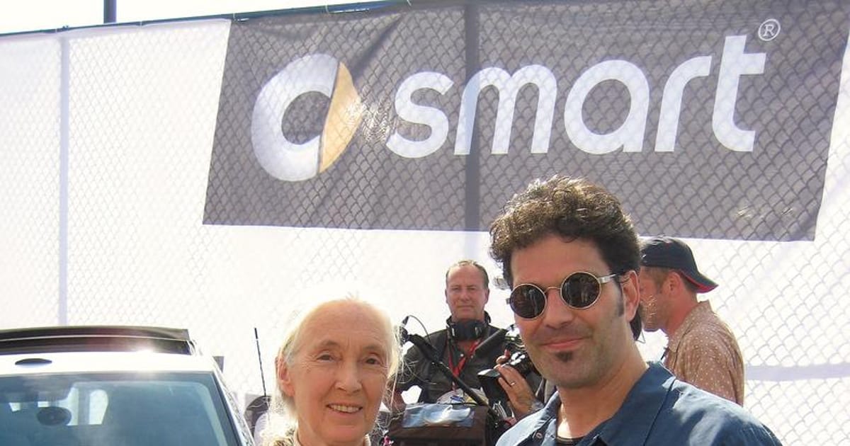 Steve Yanovsky - Manhattan, New York, Brand Alchemy, University of ...