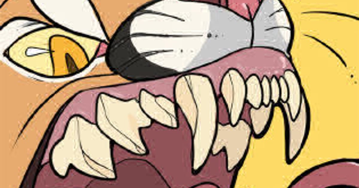 Kayden Kaidence - Australia | about.me