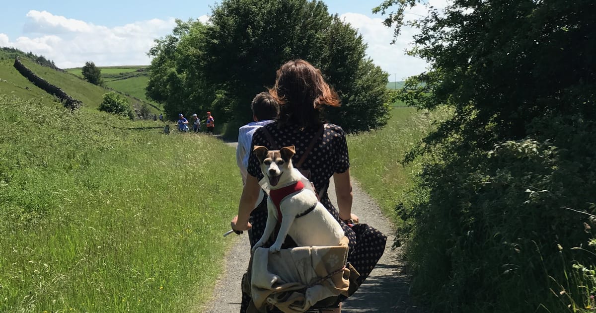 Charlotte Harding - Macclesfield, United Kingdom, University of Kent ...