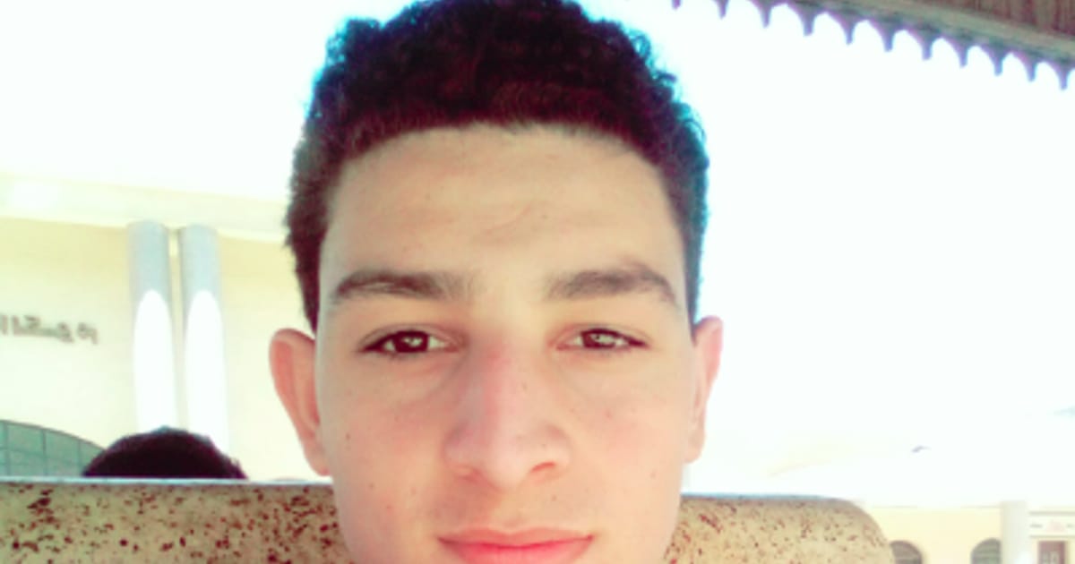 Hatem Mohamed - Cairo, Egypt, Faculty of computer and information, Menofia University 2017 ...