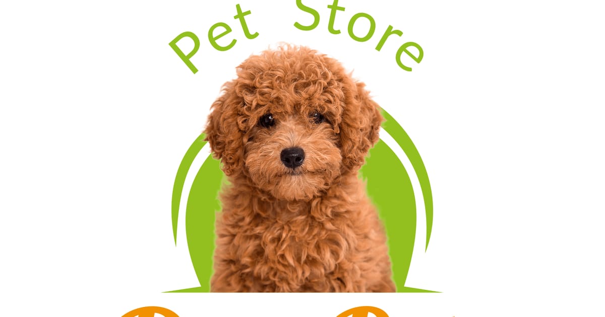 Pets Duy - Ho Chi Minh City, Vietnam | about.me