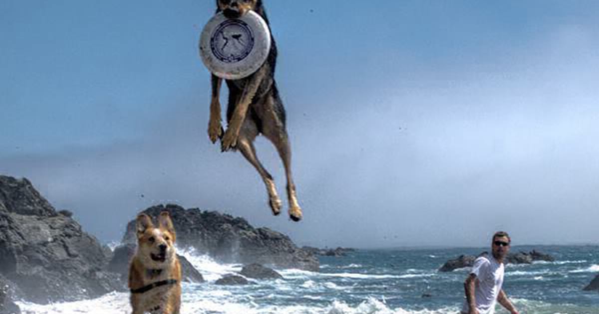 Fletcher Pinkham - Santa Rosa, California | about.me