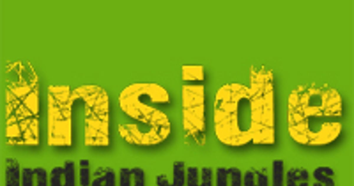 Inside Indian Jungles - Jaipur, India, Inside Indian Jungles | about.me