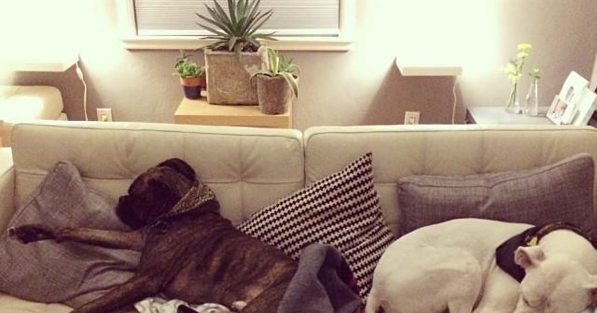 Meredith Foley - Ames, Iowa, ISU College of Design, University of Iowa ...