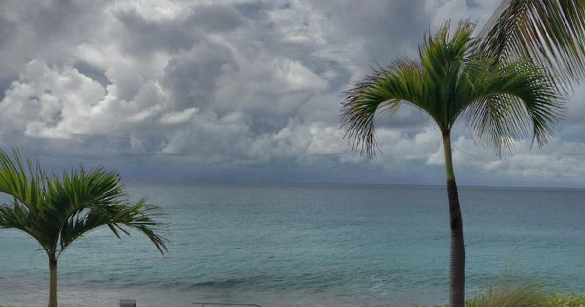 David Bizer - Paris, France | about.me