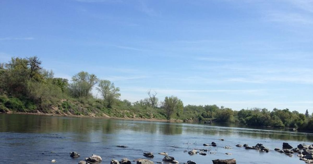 Carol Lakin - Sacramento, California | about.me