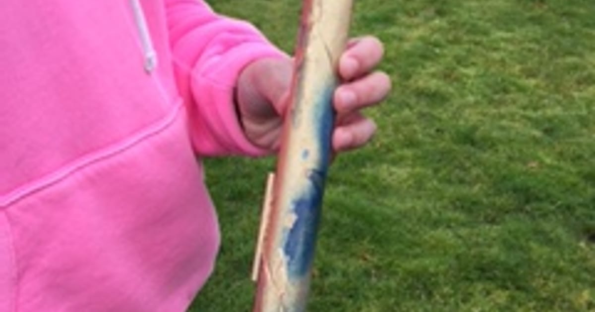 Josie Rice - Edina, Minnesota | about.me