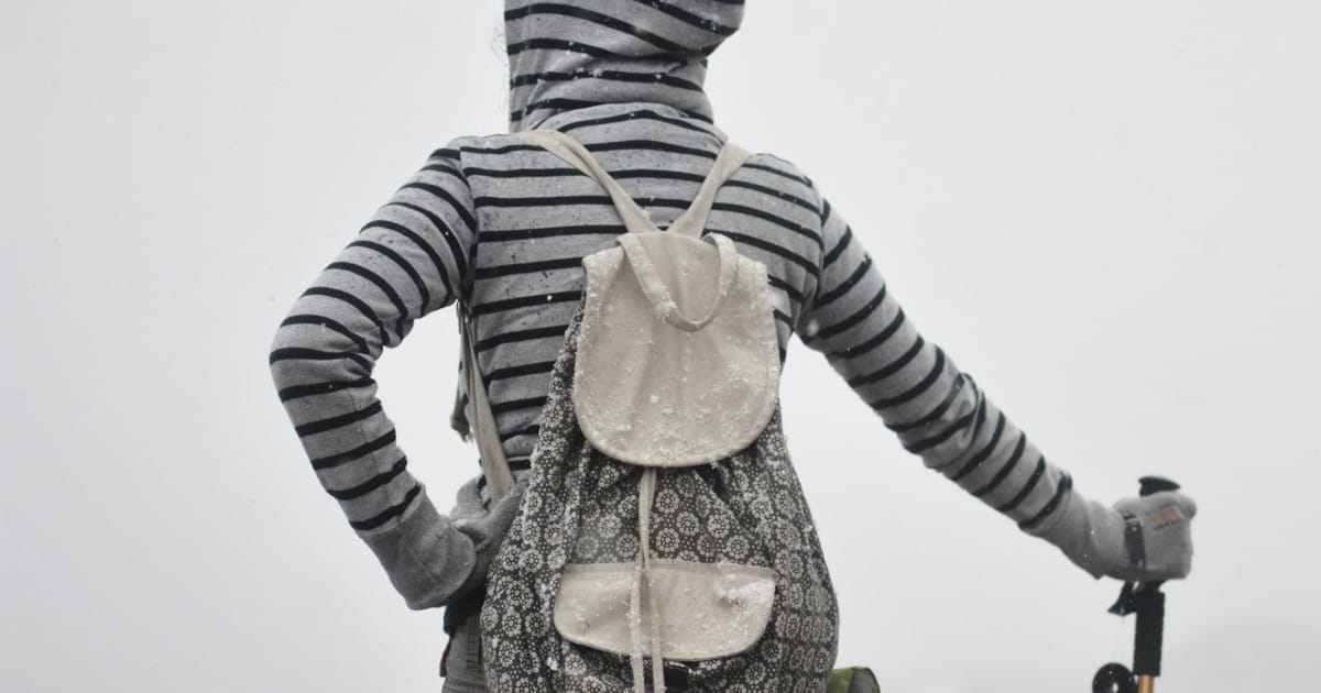 Tanvi Pandey - Bengaluru, India, Birla Institute of Technology and ...