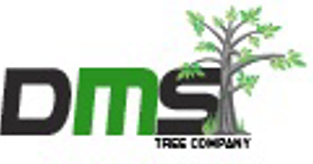 DMS Tree Company - Huntingdale, Australia | about.me