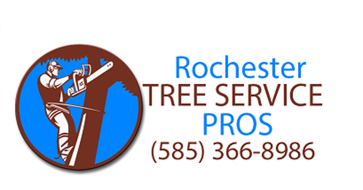 Rochester Tree Service Pros - Rochester, NY | about.me