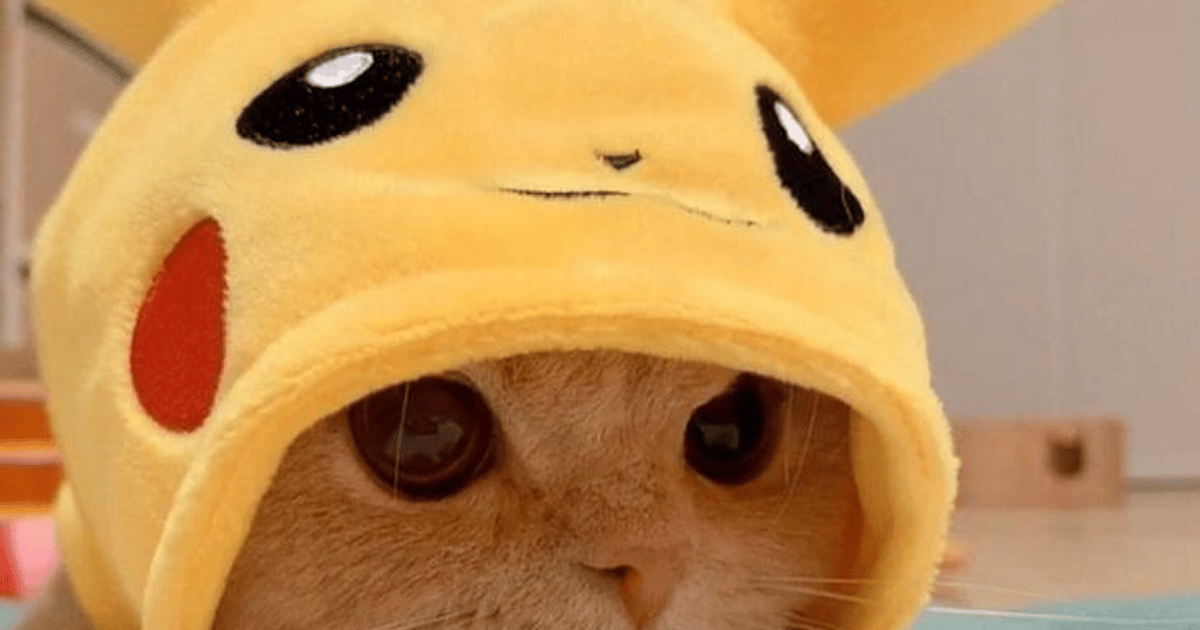 Amiyo Patra - a planet called Earth, Uhh Where did I study ? | about.me