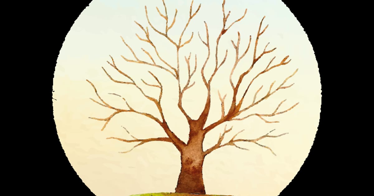 Wichita Tree Tamers - Wichita, Kansas | about.me
