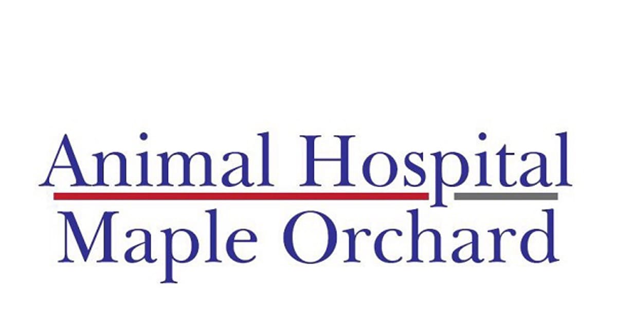 Animal Hospital Maple Orchard - West Bloomfield, MI 48322 | about.me