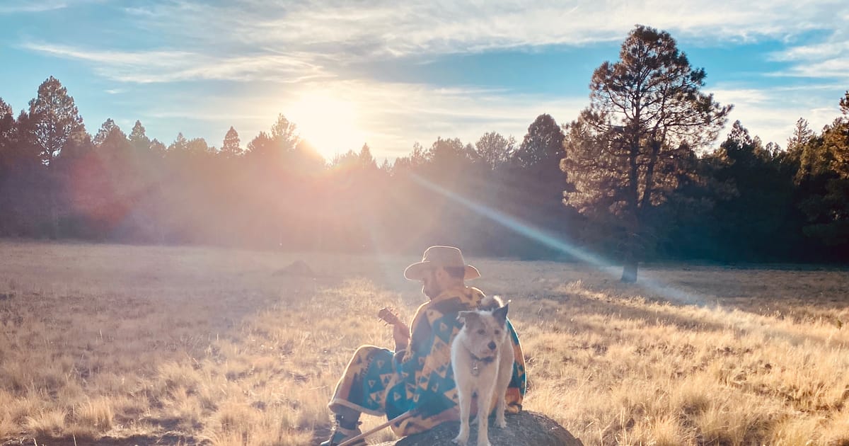 Justin Katz - the United States, Flock of Pixels | about.me