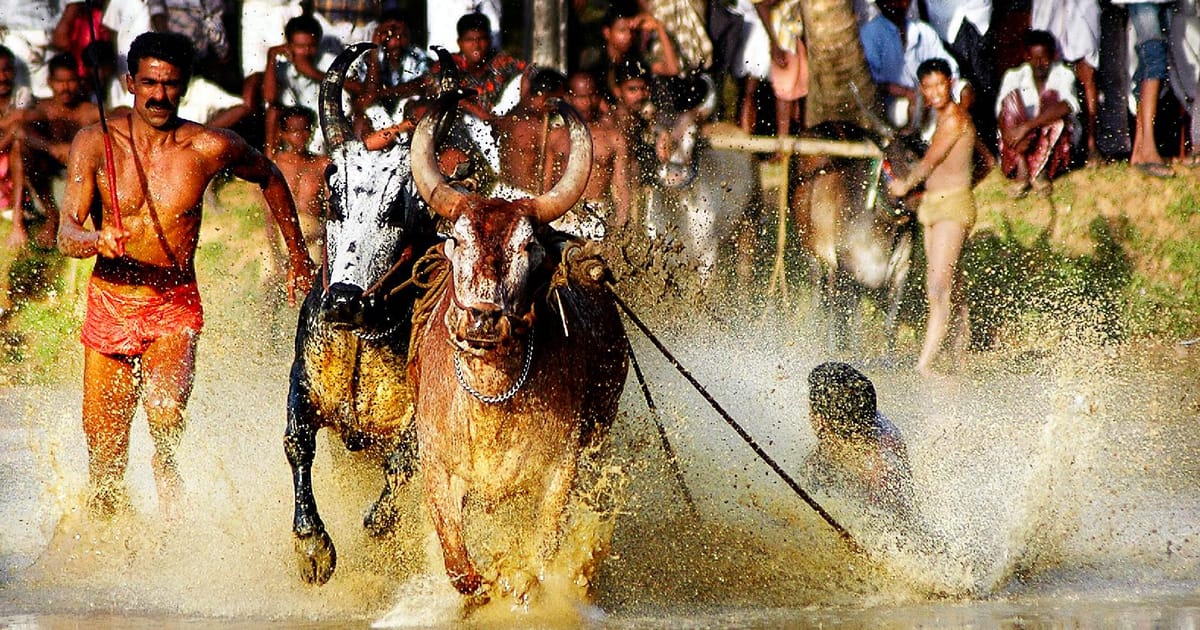 Anoop Negi - New Delhi, India | about.me