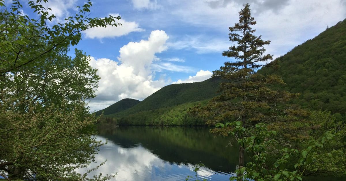 Diane Gillis - Cape Breton, Nova Scotia, Canada, My Crafted In Cape ...