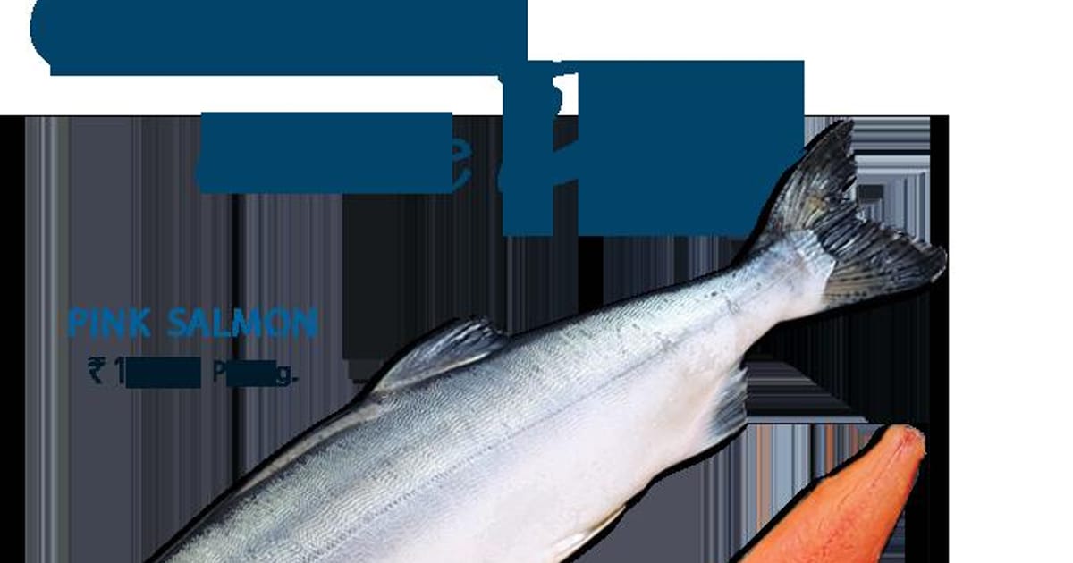 Hamvi Seafoods - Mumbai, India, http://hamviseafoods.com | about.me