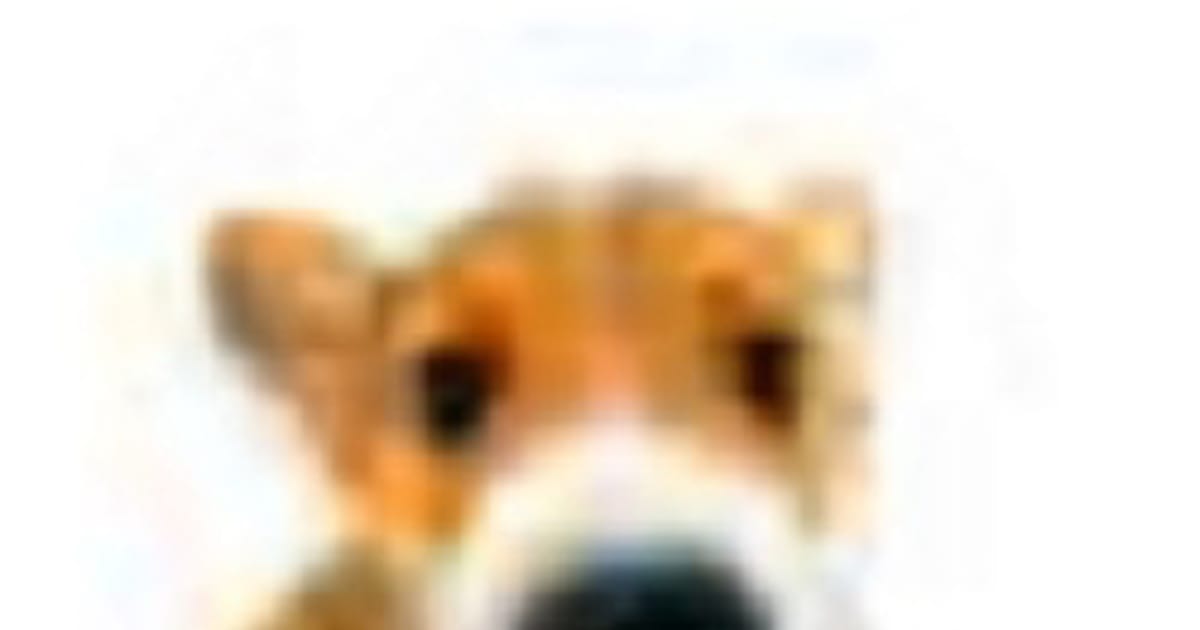 Dog planet - the United States | about.me