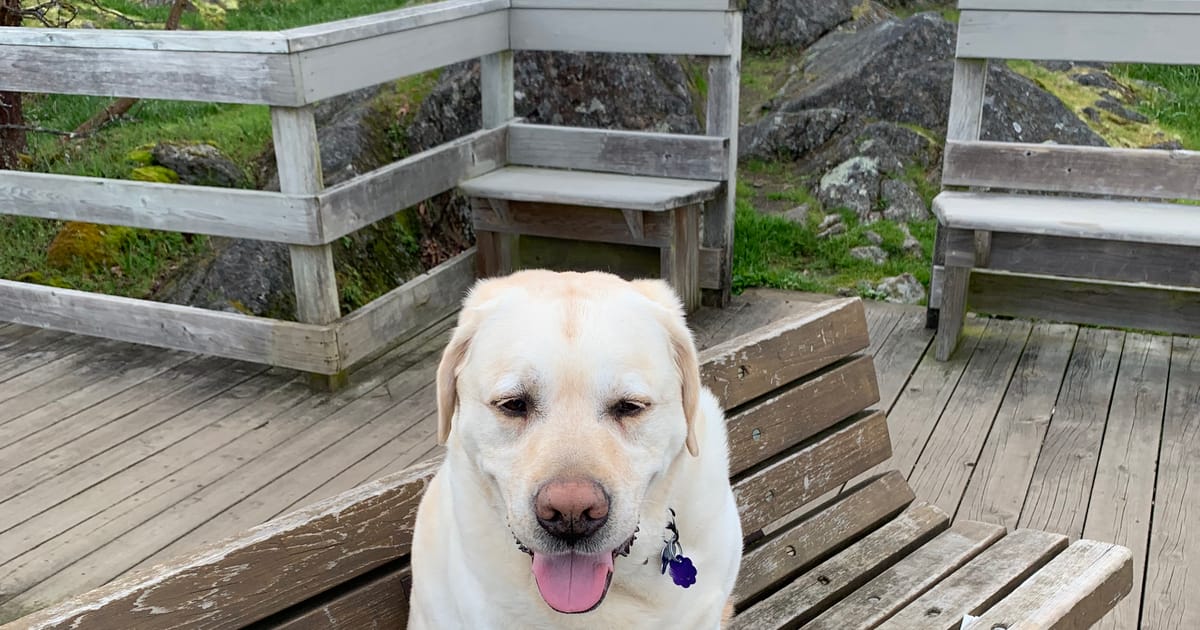 Matthew Watson - Victoria, BC | about.me