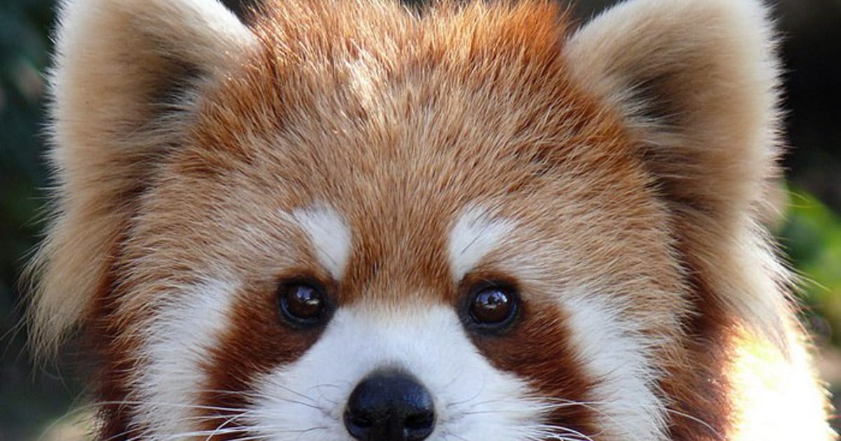 Igor Gromov - Россия | about.me